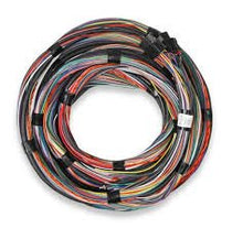 HOLLEY EFI UNTERMINATED 15' FLYING LEAD MAIN HARNESS – ICT Billet