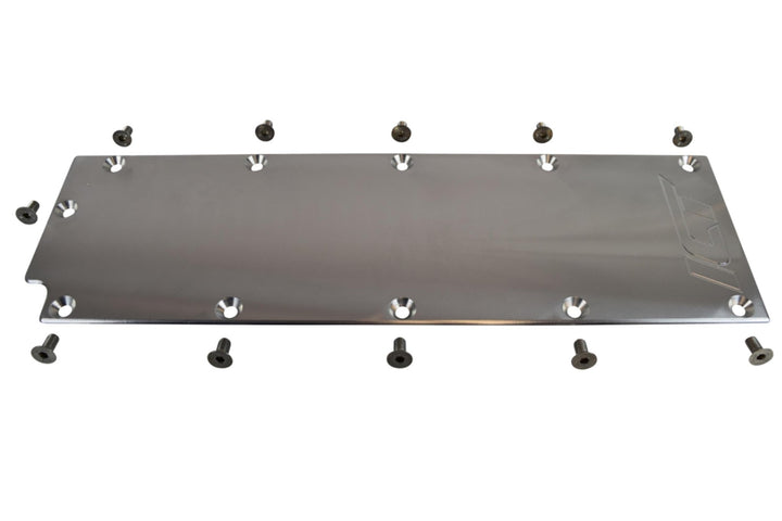 LS Gen 4 Valley Pan Cover Plate DOD Delete (requires plugs) | 551646 ...